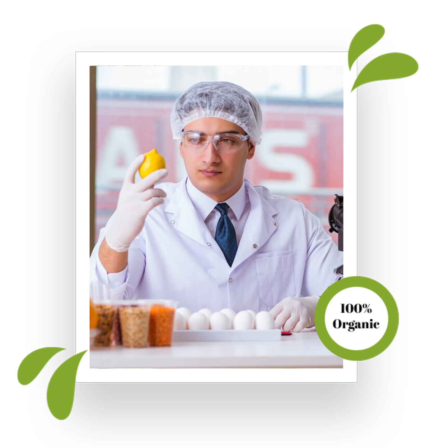 Food Inspection Services - Food Safety Consultancy